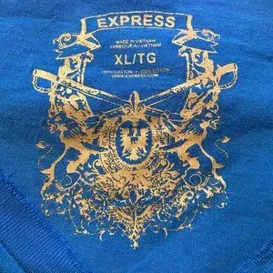 express lion logo